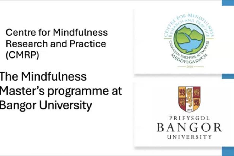 Mindfulness Courses